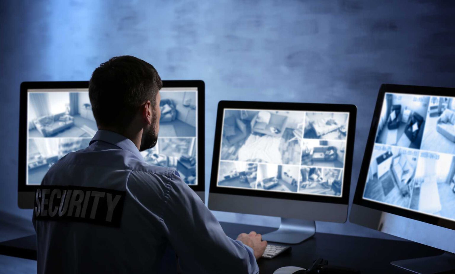 Delta Security Service GmbH - Home